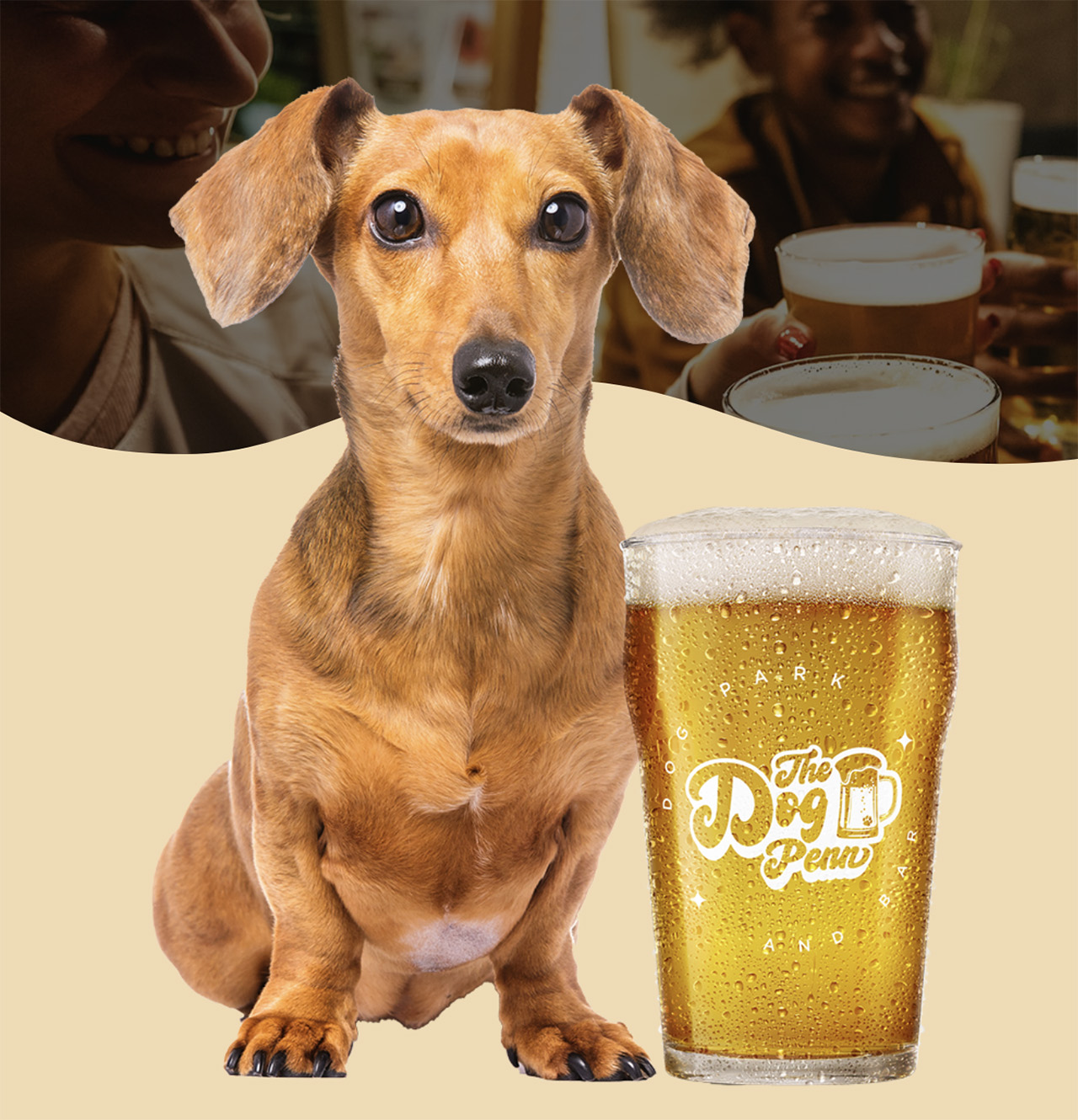 Memberships - The Dog Penn